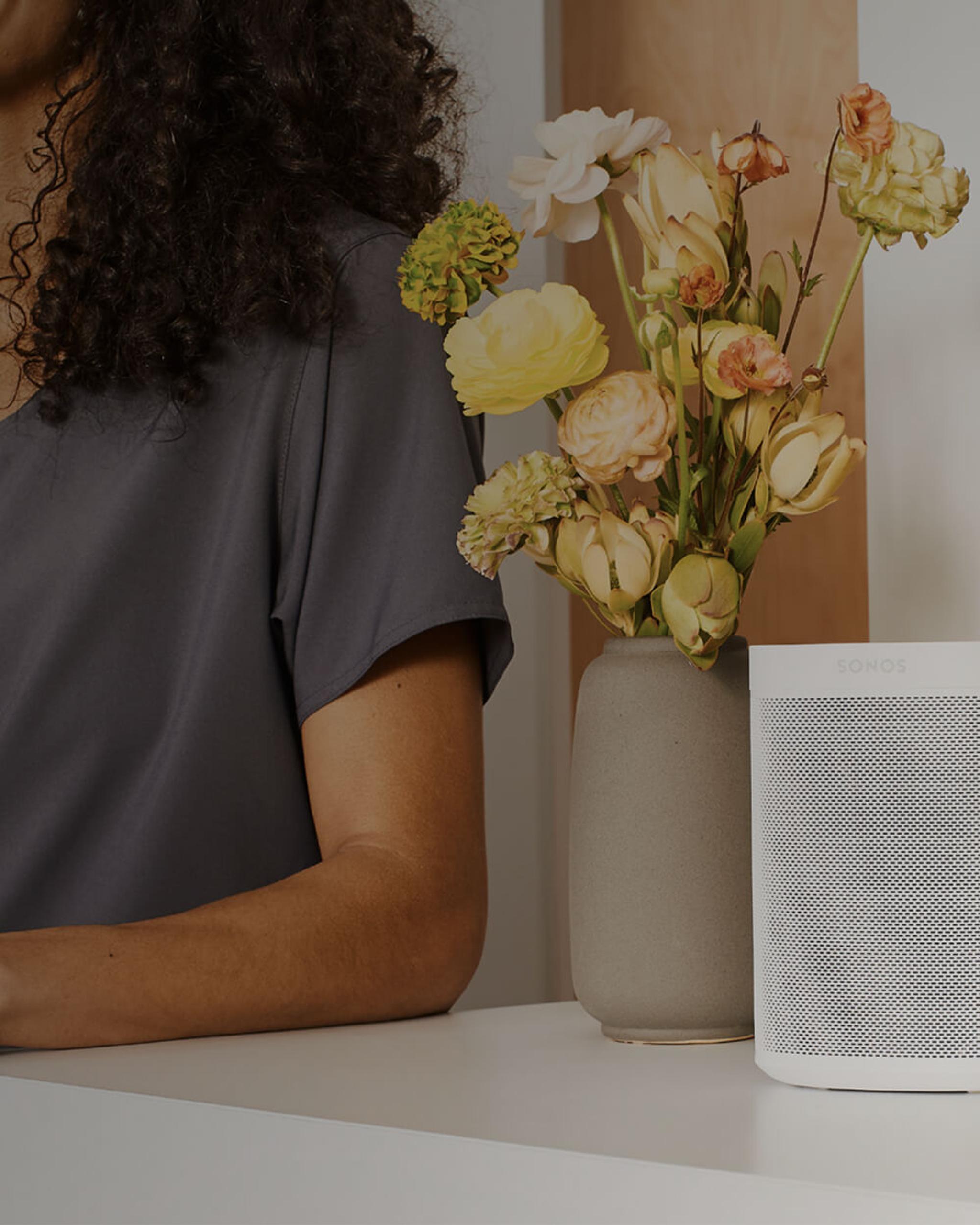 Installation and Setup | Sonos